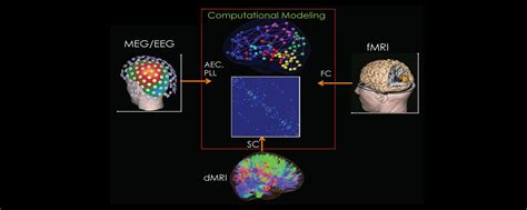 Publications Brain Networks Laboratory Raj Labresearch Laboratory Of Ashish Raj Phd
