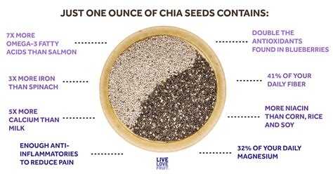 10 Incredible Health Benefits Of Chia Seeds Live Love Fruit