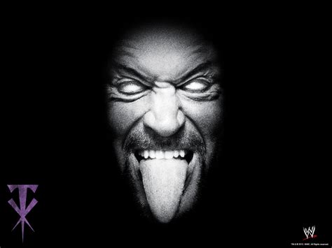 Undertaker Wwe Wallpaper 36843539 Fanpop