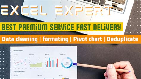 Clean Organize And Format Your Excel Data Professionally By Rama