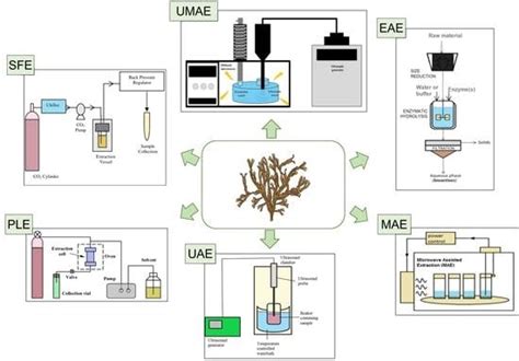 Marine Drugs Special Issue Green Extraction And Fermentation Processes For Obtaining Marine