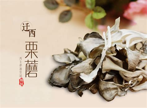 栗蘑菇蘑菇小蘑菇第4页大山谷图库