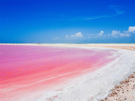 گلفشان نفتلیجه کجاست گمیشان مسیر آدرس عکس دریاچه صورتی