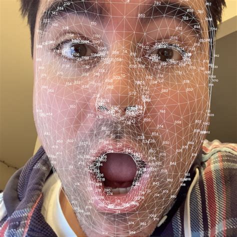 IOS ARKit Face Tracking Vertices Oxford Echoes