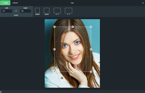 Chameleon 55 Whats New Chameleon Dating Software Versions