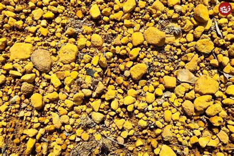 کشف مخزن عظیم طلا در هسته زمین و نشت آن به سطح