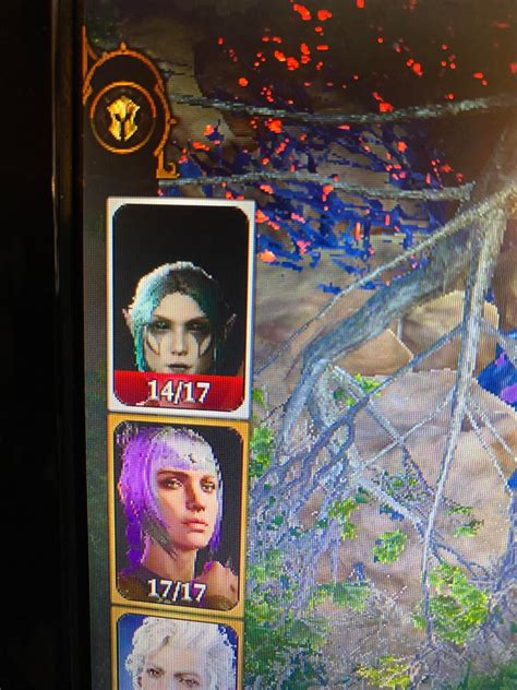 Asset And Textures Loading Problems And Portrait Bug Rbaldursgate3