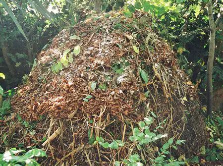 16 Methods Of Composting For Any Budget Or Space No Waste Nutrition