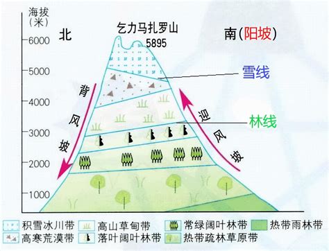 高考地理知识归纳 植被分布阳坡 阴坡正午太阳高度角 地理试题解析 初高中地理网