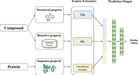 Pla More A Protein Ligand Binding Affinity Prediction Model Via Comprehensive Molecular
