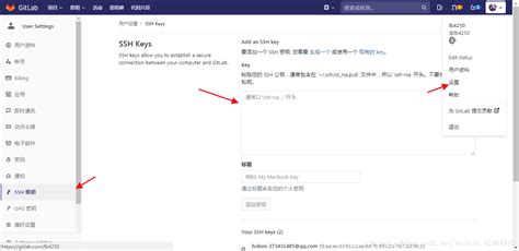 Phpstorm，idea使用gitlabphpstorm Add Gitlab Account Csdn博客