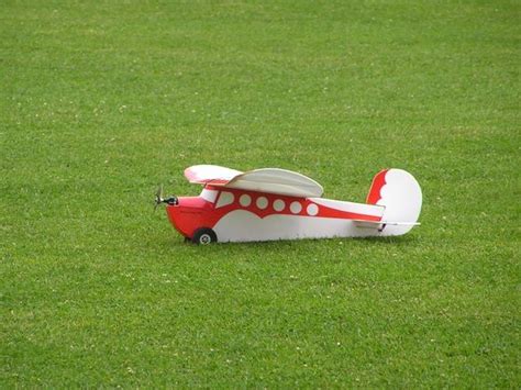 Free Lazy Bee 3 Stock Photo FreeImages Com