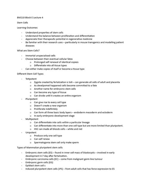 Stem Cells Notes Pdf Cell Potency Stem Cell