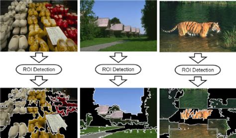 Automatic Roi Detection Results Download Scientific Diagram