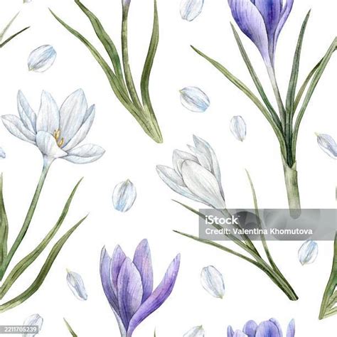 녹색 잎과 흰 꽃잎이 있는 자주색과 흰색 크로커스 수채화 식물 이음매 없는 패턴 봄 디자인 결혼식 초대장 인사말 카드 브랜딩 포장 직물에 적합합니다 0명에 대한 스톡 벡터