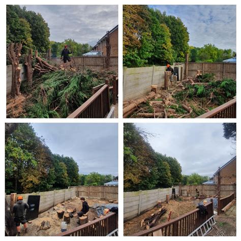 Areas Covered Tree Surgery In Hyde