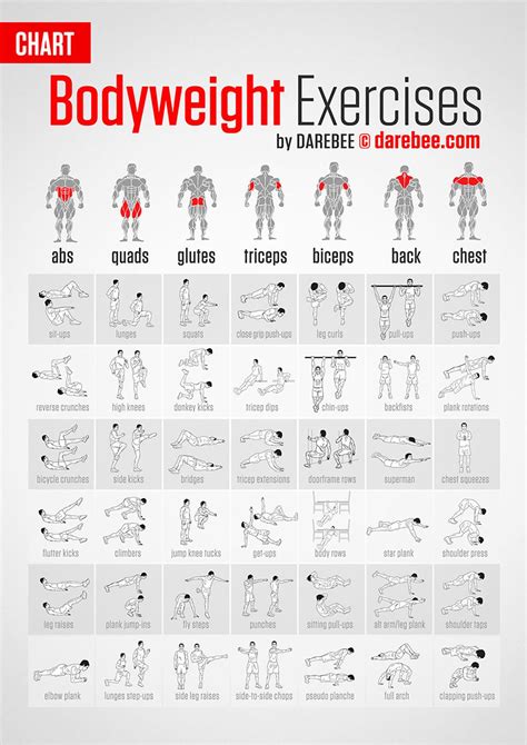 List Of Bodyweight Exercises Infographic Workout Chart Bodyweight