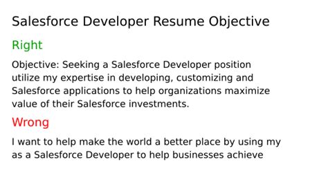 Top 16 Salesforce Developer Resume Objective Examples
