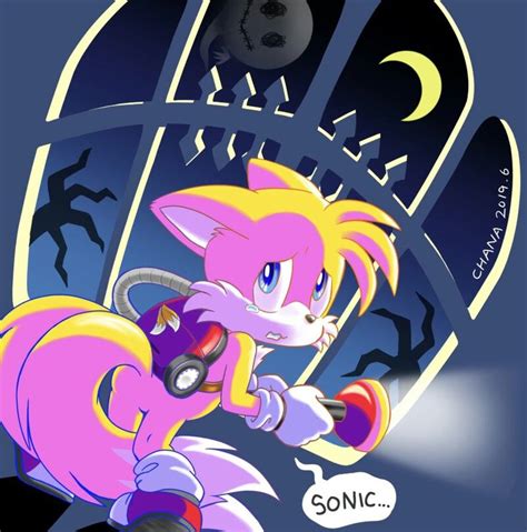 Pin By Jacky Sm On Miles Tails Prower Sonic Art Game Character Sonic Franchise
