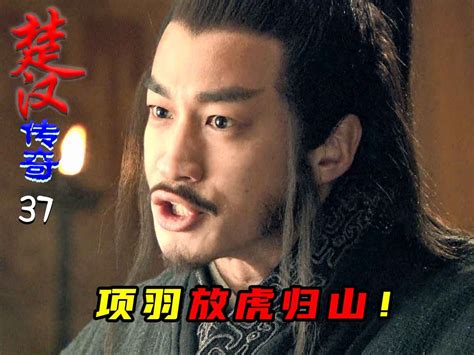 楚汉传奇37：刘邦为活命跪求雍齿，项羽明知老刘在演戏，依旧执意放虎归山！ 南枝蜀黍 南枝蜀黍 哔哩哔哩视频