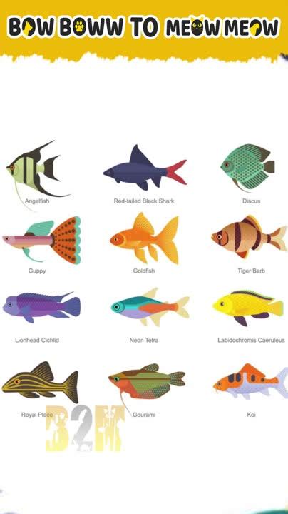 Bow Bow To Meow Meow On Linkedin Bowbowwadventures Meowmeowmagic