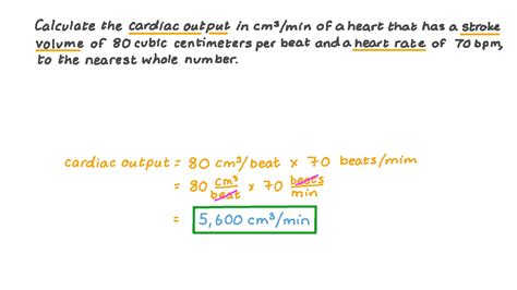 Cardiac Output Calculation Solved Questions 171 173 Cardiac Output