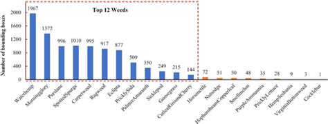Bar Plot Of The Cotton Weed Detection Dataset Consisting Of 5960 Images Download Scientific