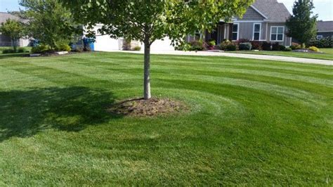 Lawn Stripping Enhance Your Garden With Decorative Patterns