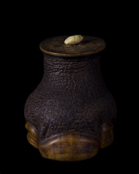 Taxidermy Javan Rhinoceros Foot