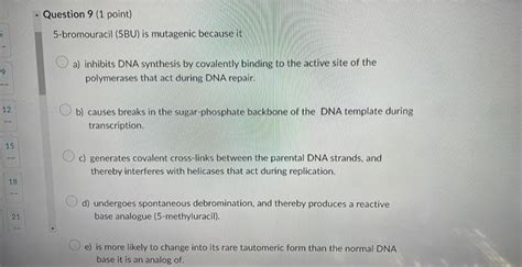 Solved 5 Bromouracil 5bu Is Mutagenic Because It A