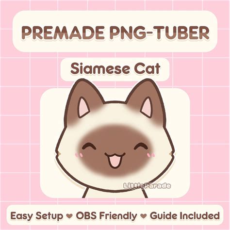 Premade Png Tuber Model Siamese Cat 6 Expressions V Tuber Vtuber Livestreaming Stream Twitch