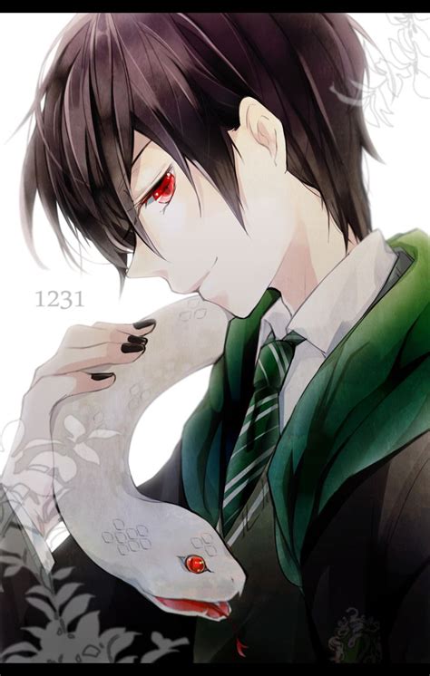 Harry Potter Tom Riddle Anime Margarethouse Blog