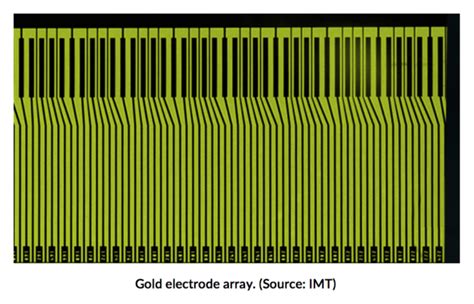 Gold Electrode Array Imt Masken Und Teilungen Ag
