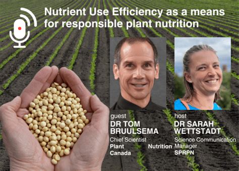 Nutrient Use Efficiency As A Means For Responsible Plant Nutrition Fertilizer