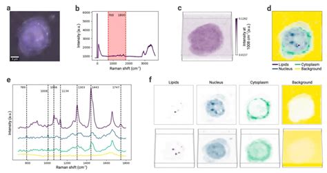 学术前沿 Ai算法加持，拉曼光谱分析迈向智能时代 知乎