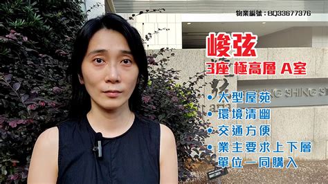 KOL睇真盤Cathy Chan筍盤推介峻弦3座 極高層 A室 利嘉閣地產有限公司