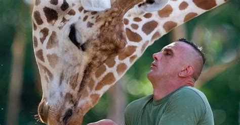 Inseparables Hasta El Final La Historia De Una Jirafa Y Su Cuidador Que Murieron Con Algunas