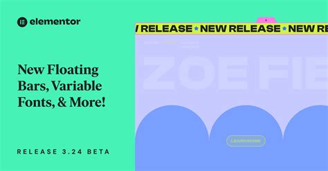 Elementor 324 Beta Developers