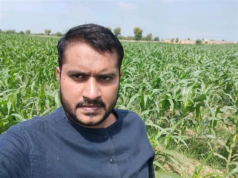 Muhammad Talha Sajjad On Linkedin Maize Seedproduction Armyfallworm Breeding