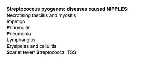Barone Mnemonic Microcytic Anemia Artofit