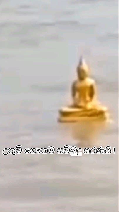 මහා ගංවතුරක් මැද ඒ අසිරිමත් රන් පිළිම වහන්සේ නොගිලෙමින් පාවෙමින් තිබිම 🙏☸️ සොබාදහම පවා ආරක්ෂා