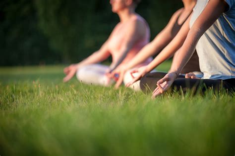 공원에서 요가 일몰 동안 요가와 명상을 연습하는 사람들의 그룹 강사에 대한 스톡 사진 및 기타 이미지 강사 건강한 생활방식 공원 Istock