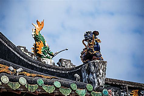 鳌鱼图片 鳌鱼图片大全 鳌鱼图片素材 全景视觉