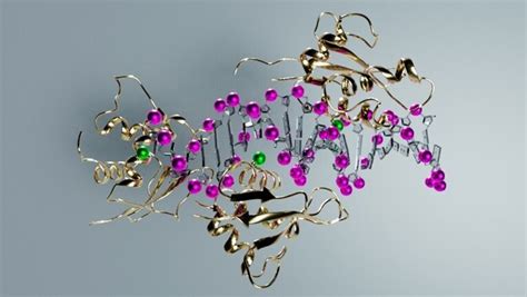 Call For Papers Experimental And Computational Methodology In