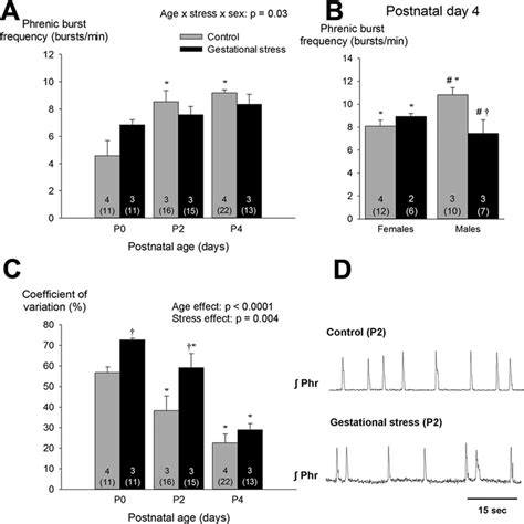 Gestational Stress Promotes Pathological Apneas And Sex Specific Disruption Of Respiratory