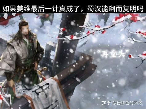 如果姜维最后一计成功了，蜀汉能得以延续吗？ 知乎