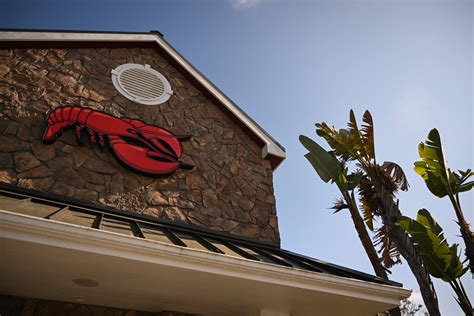 Red Lobster Could Face Lawsuits Over Closures Attorney Middle East