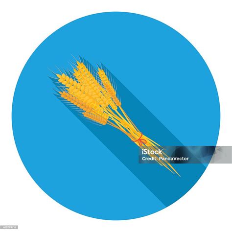 흰색에 고립 된 플랫 스타일의 밀 아이콘 묶음 0명에 대한 스톡 벡터 아트 및 기타 이미지 0명 가을 농업 Istock