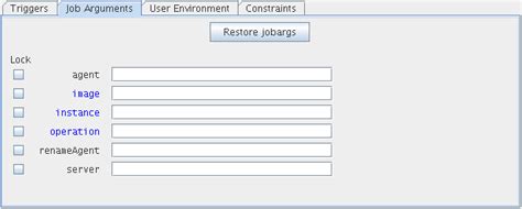Netiq Documentation Netiq Cloud Manager 23 Component Reference Understanding The Job