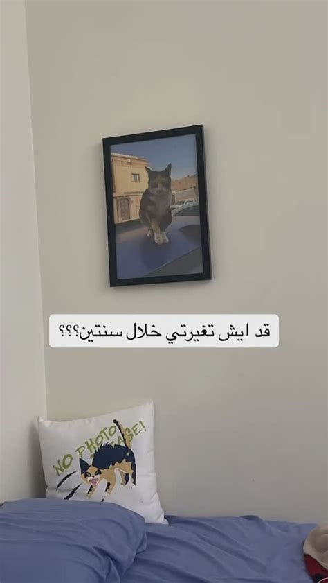 Ekbal Ahmed 🤷‍♂️ Dabke Dabkecat Cats Instagram